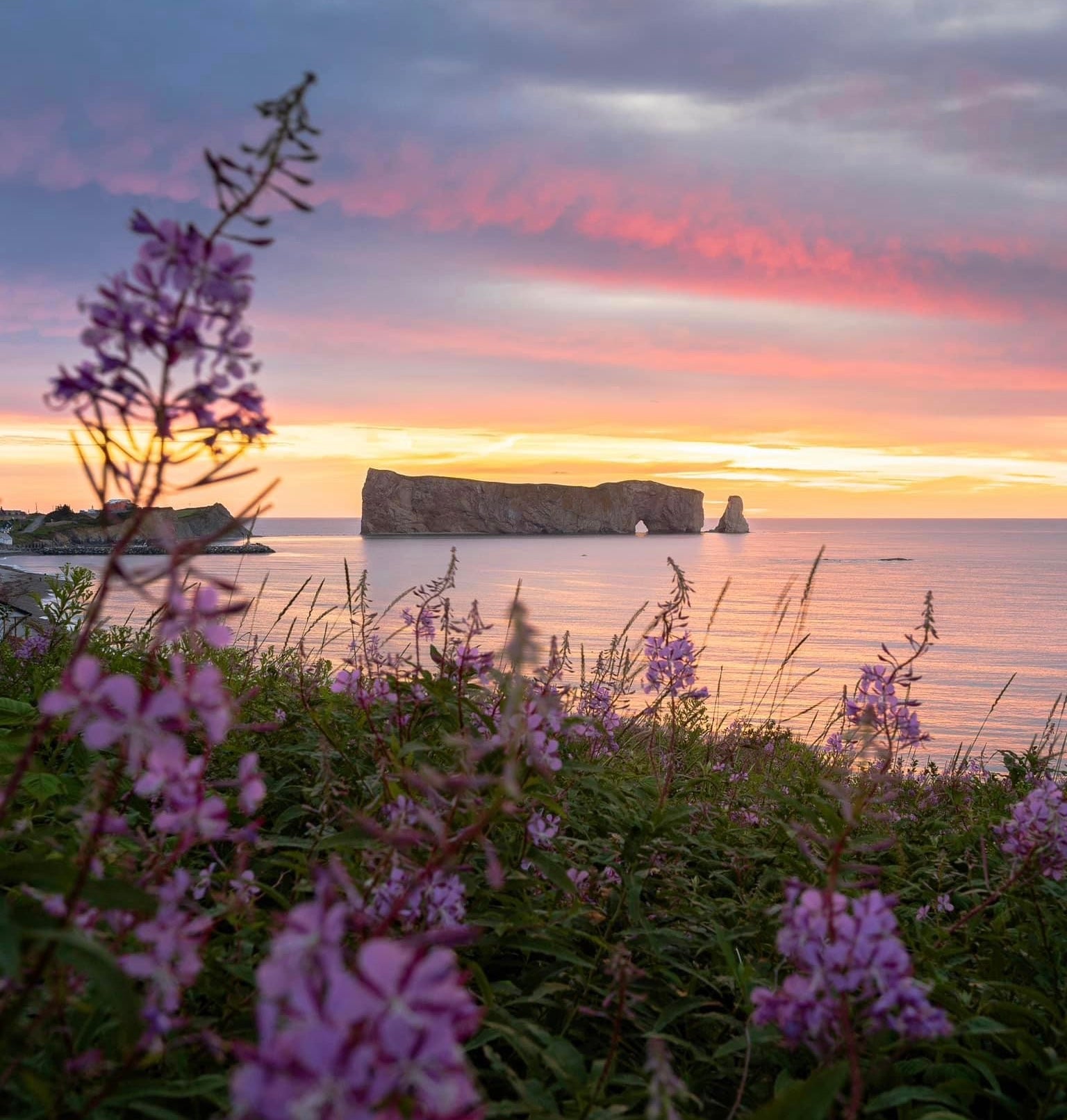 Patrice Labbé Photographie – Patrice Labbé photographie