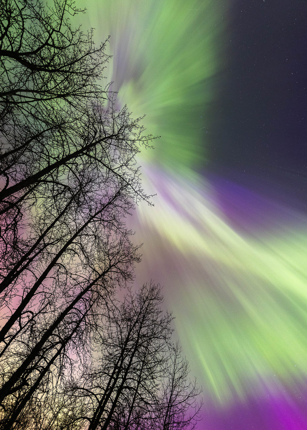 Aurores Boreales – Patrice Labbé photographie